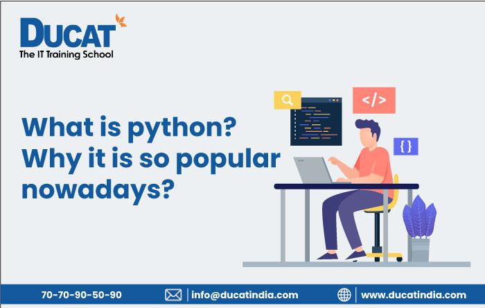 What is Python and Why It Is So Popular Nowadays